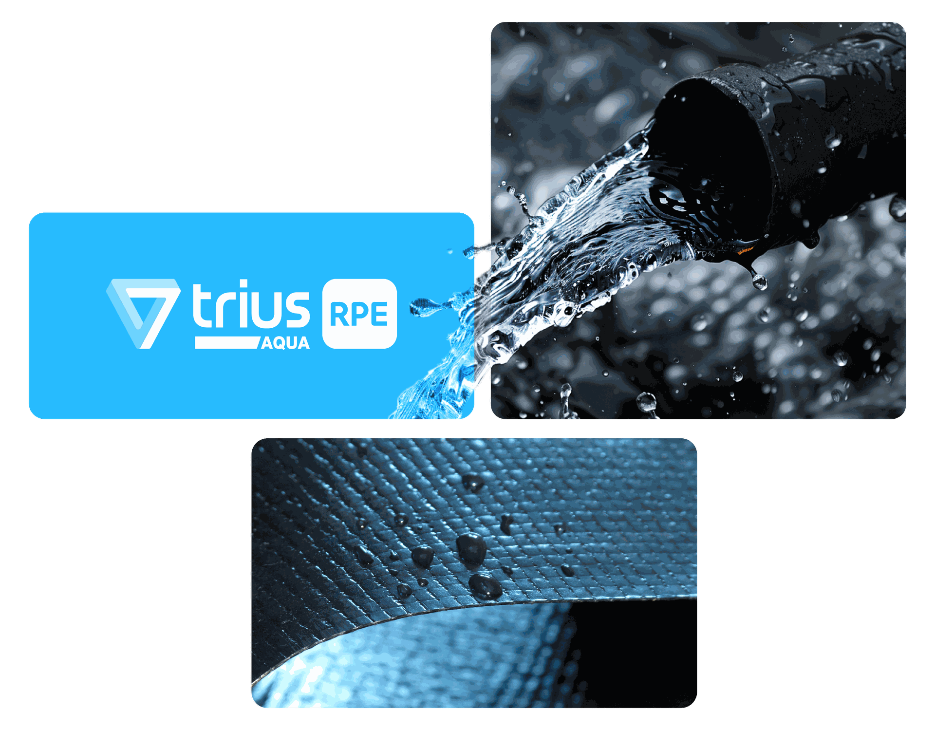 Home | TRIUS
